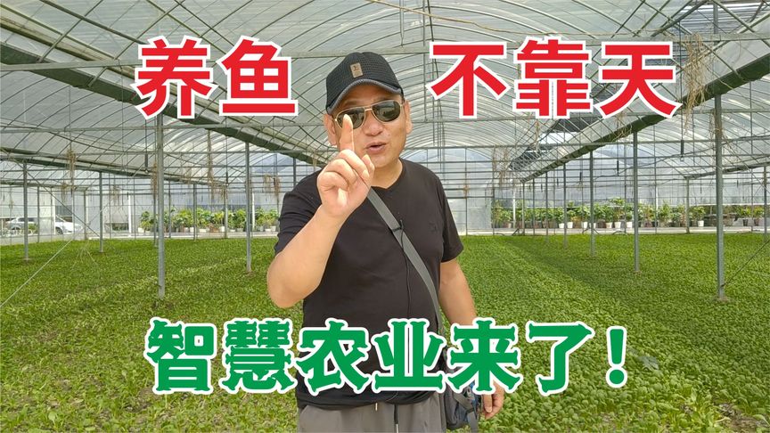 高密度养鱼不靠天,一台传感器连接物联网,智慧农业颠覆认知!