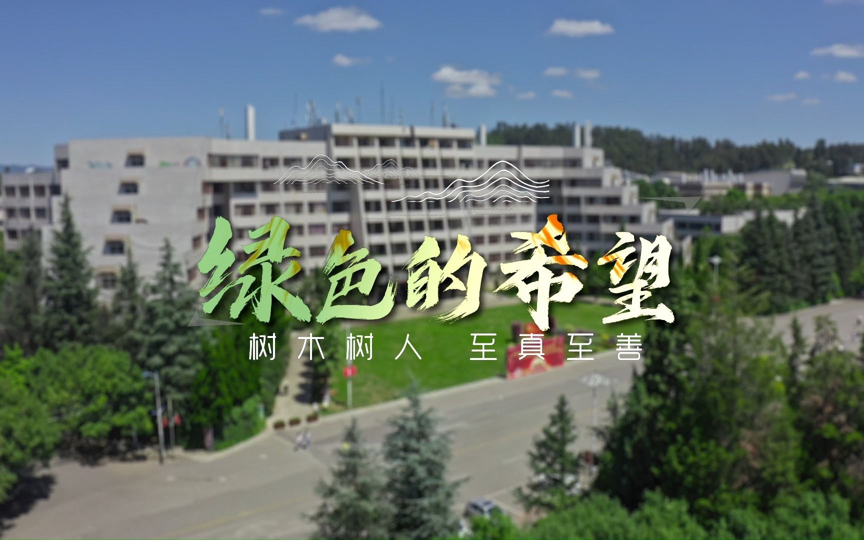 西南林业大学宣传片 《绿色的希望》震撼发布!