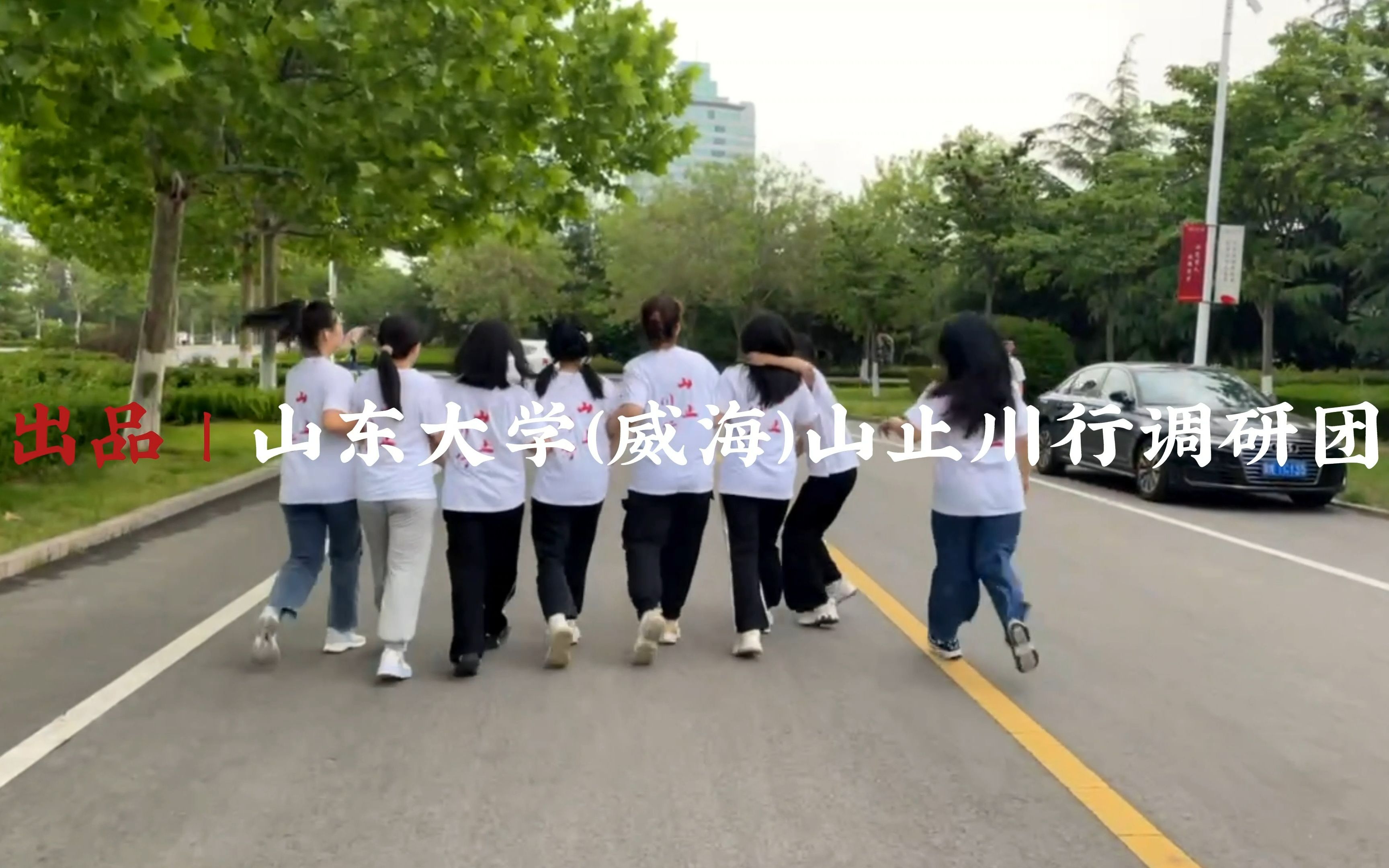 【暑期社会实践总结】基于土地流转探求党组织基层治理在乡村振兴中...