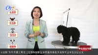 黑龙江生物科技职业学院畜牧兽医系创业宣传.mov