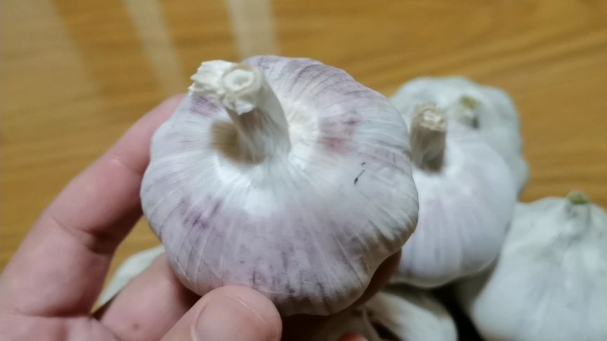 大健康食品,大蒜的作用和功效强大,生活小窍门,生吃大蒜有益