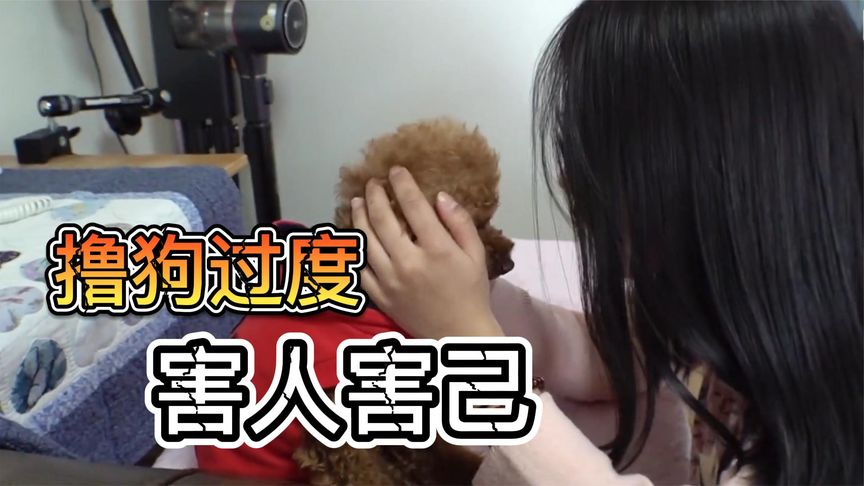撸狗过度,害人害己!宠物狗变成两面派,一言不合就疯狂咬人