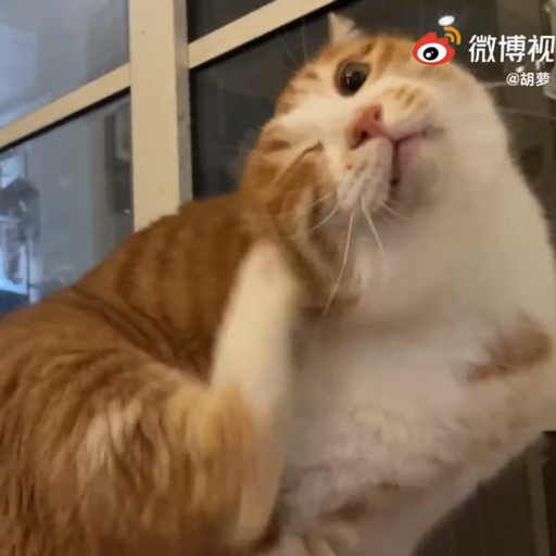 求职早就成功了 