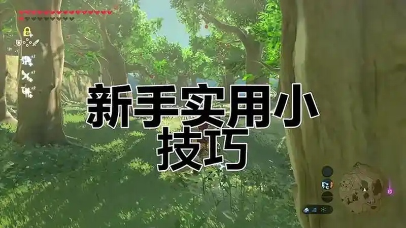 塞尔达传说:萌新必学技巧大揭秘