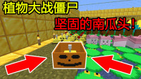 煞神MC幸运挑战2 第29集 我的世界:植物大战僵尸,坚硬南瓜头!保护植物!
