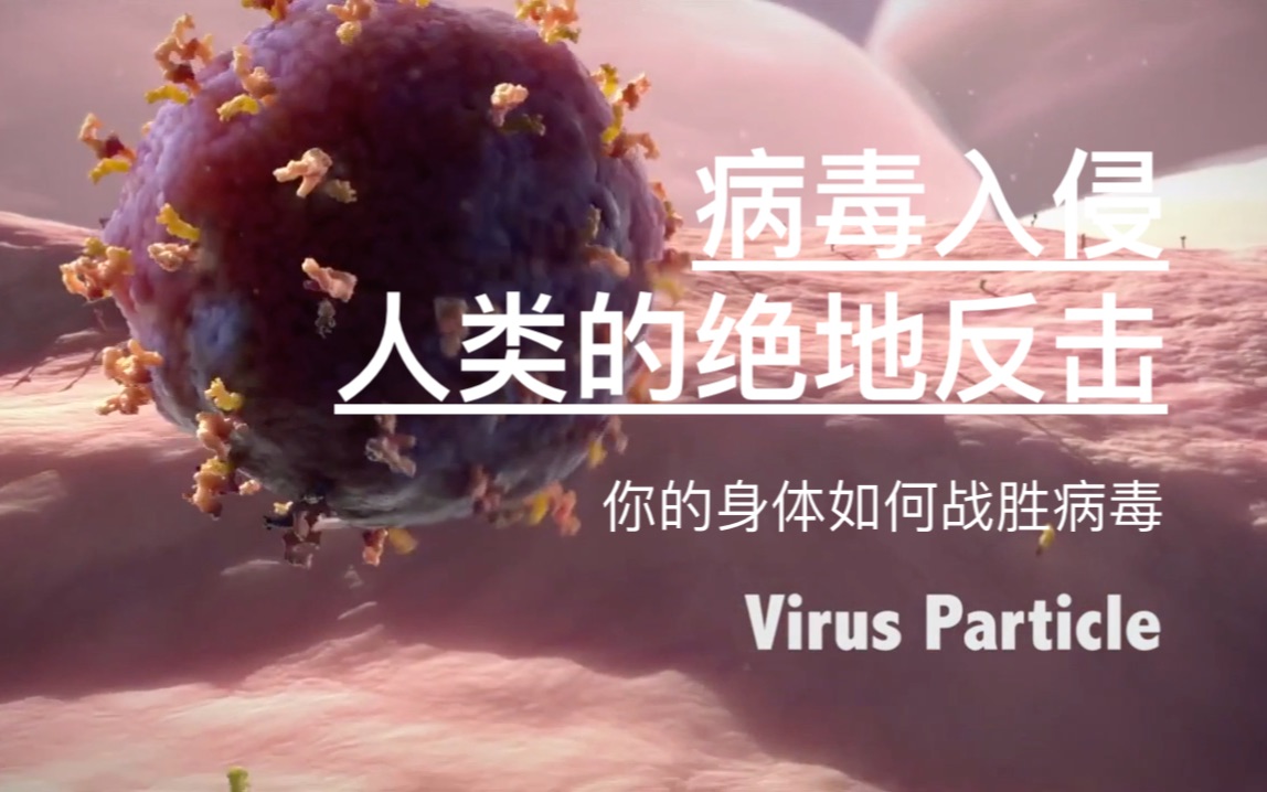 科普:病毒的入侵和人体的反击:一场无声的战争