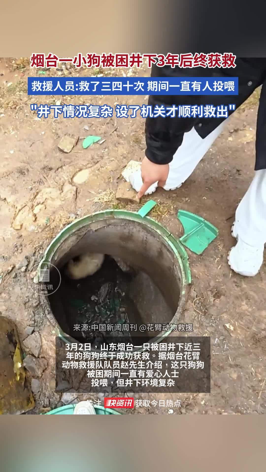 小狗被困井下3年终获救,救援人员:救了三四十次,一直有人投喂