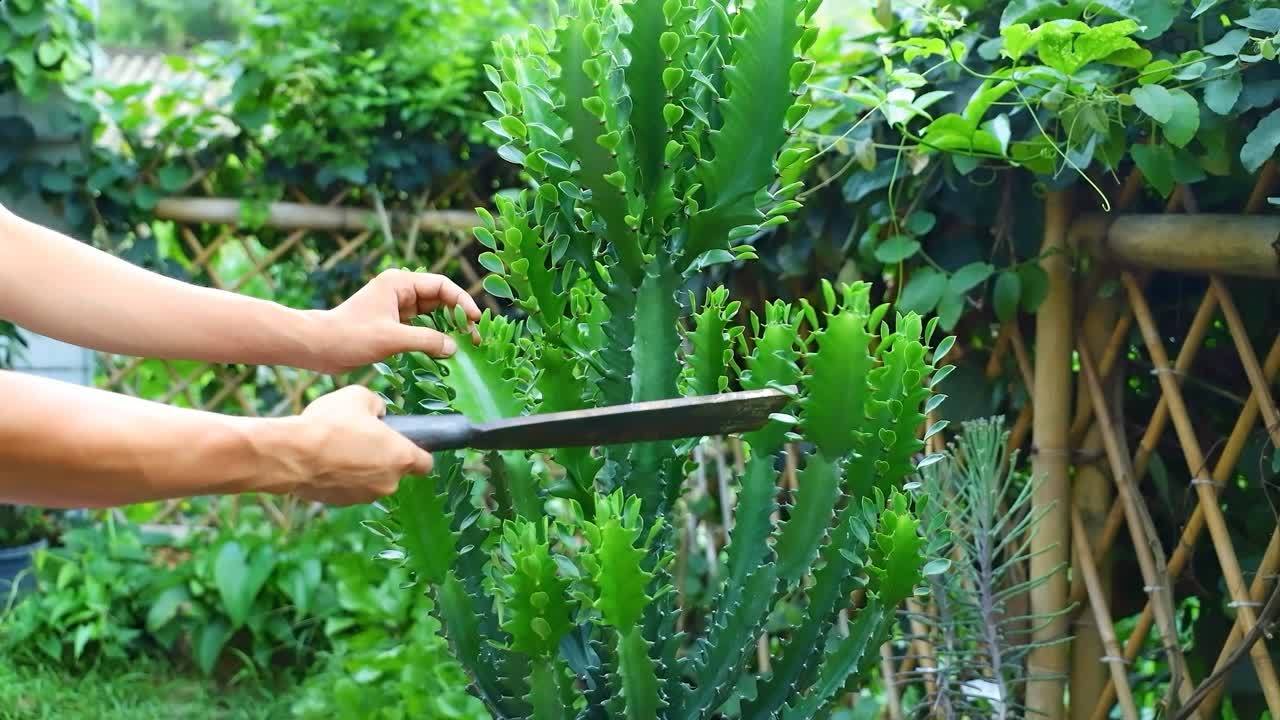 塑料扣板得龙骨能用胀管打吗