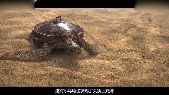 动画短片《被污染的水世界》,海底出现变异鲨鱼王,成为海洋霸主