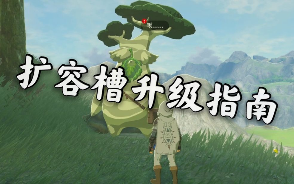 【阿蕉塞尔达】武器扩容槽升级指南