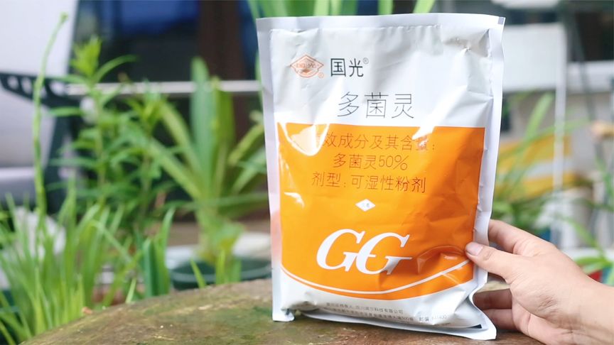 养花生病了怎么办?园艺师教你,用多菌灵就能搞定,花卉都通用
