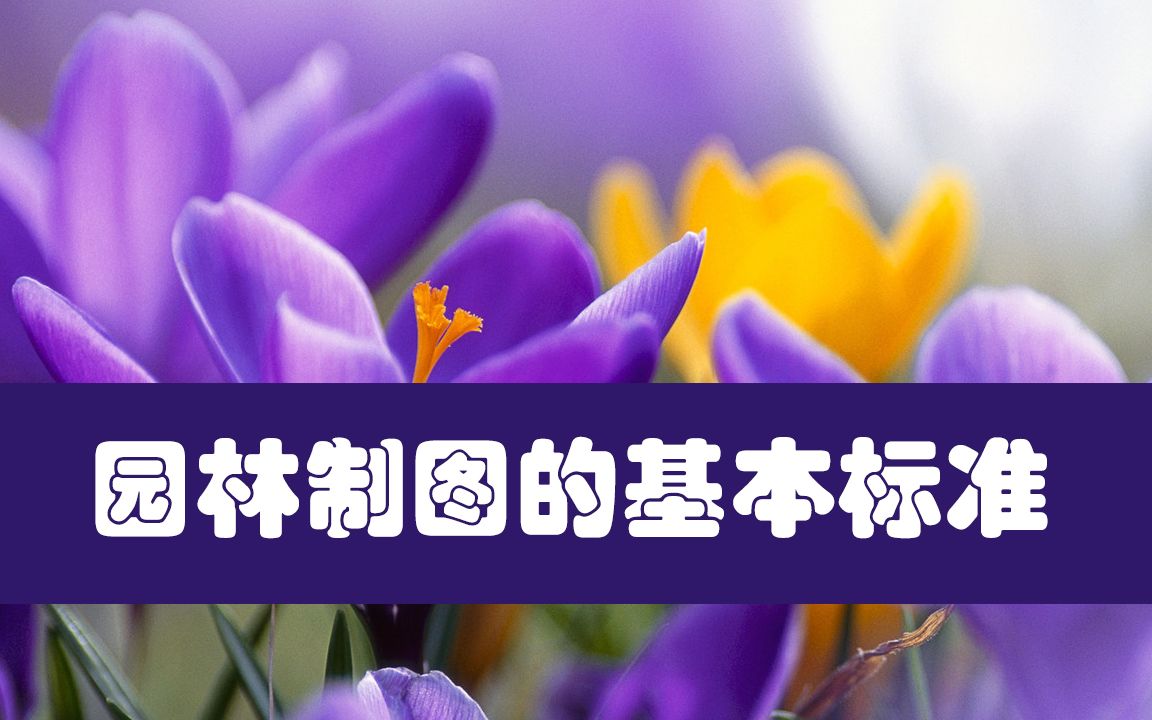 园林制图的基本标准