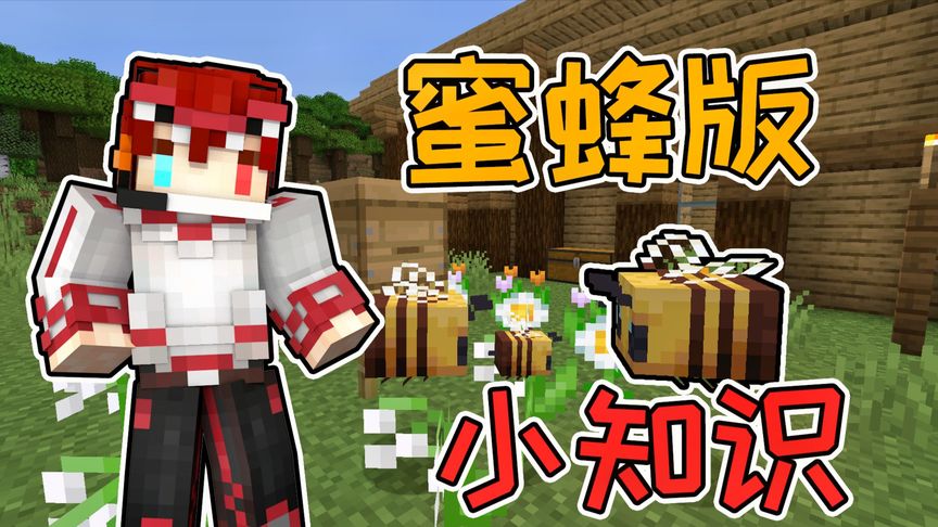 我的世界蜜蜂版,养蜂必须需要知道这些事,才算称职养蜂人!