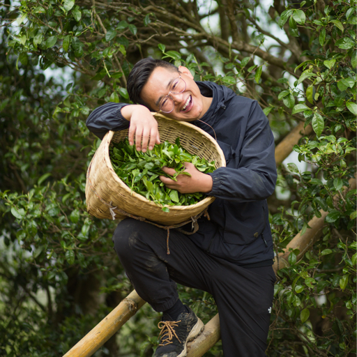 制茶人高良公 