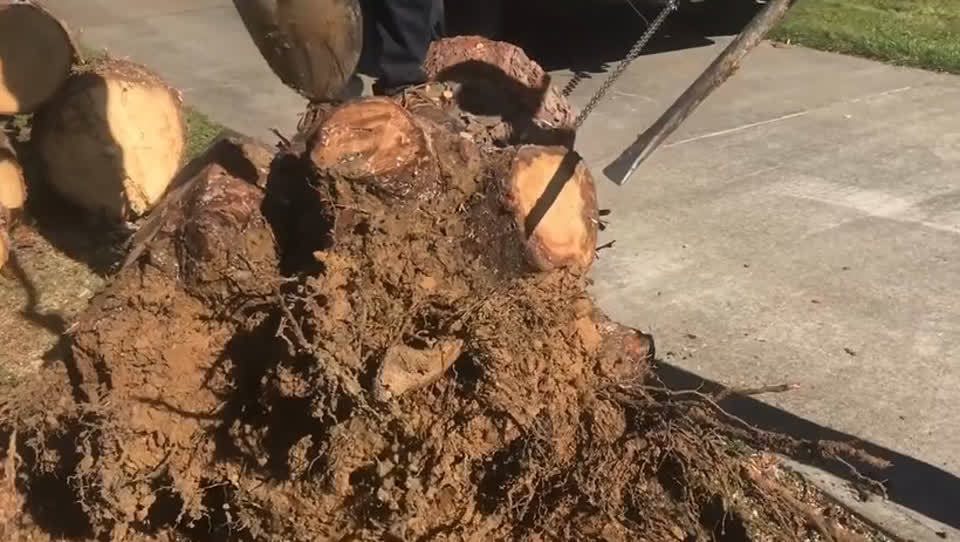 五个巨大的齿轮旋转一圈,轻松清理离土残留的树枝,这就是旋转犁地耙