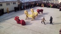 春节民间舞狮表演