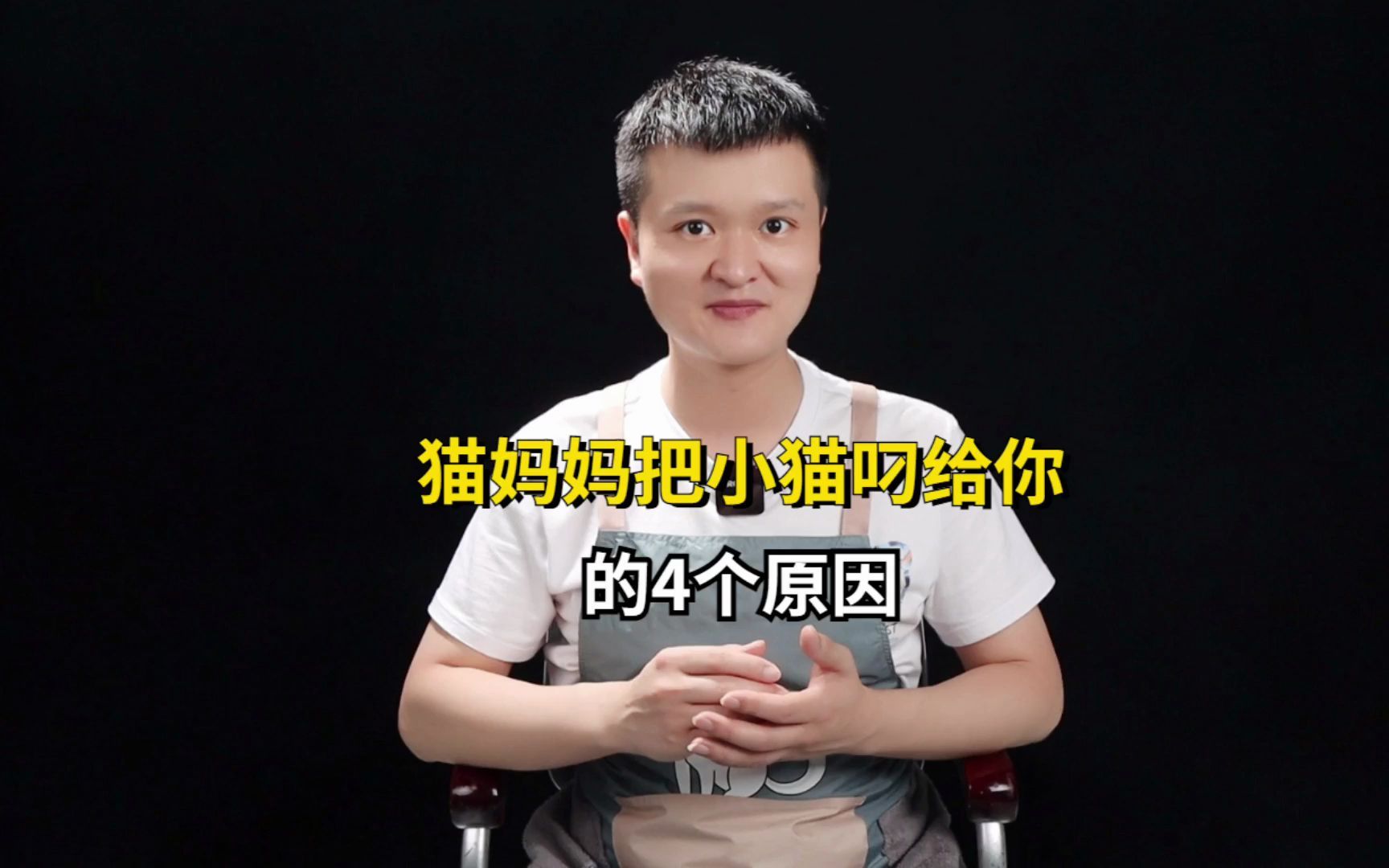 猫妈妈为什么把小猫叼给主人?原因有这4点