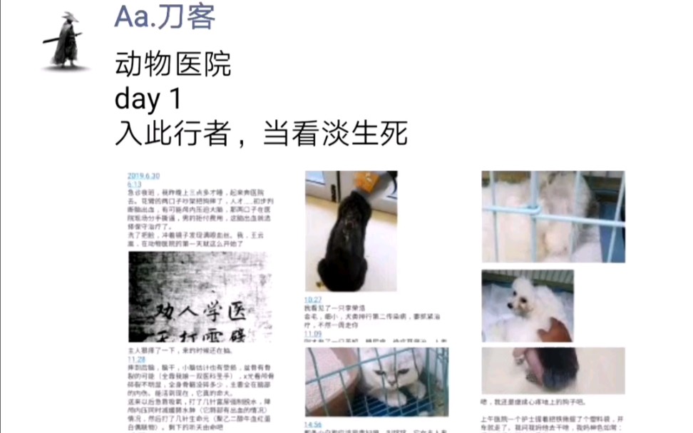 UP带你看最真实的动物医院(动物医院实习三天的日记)