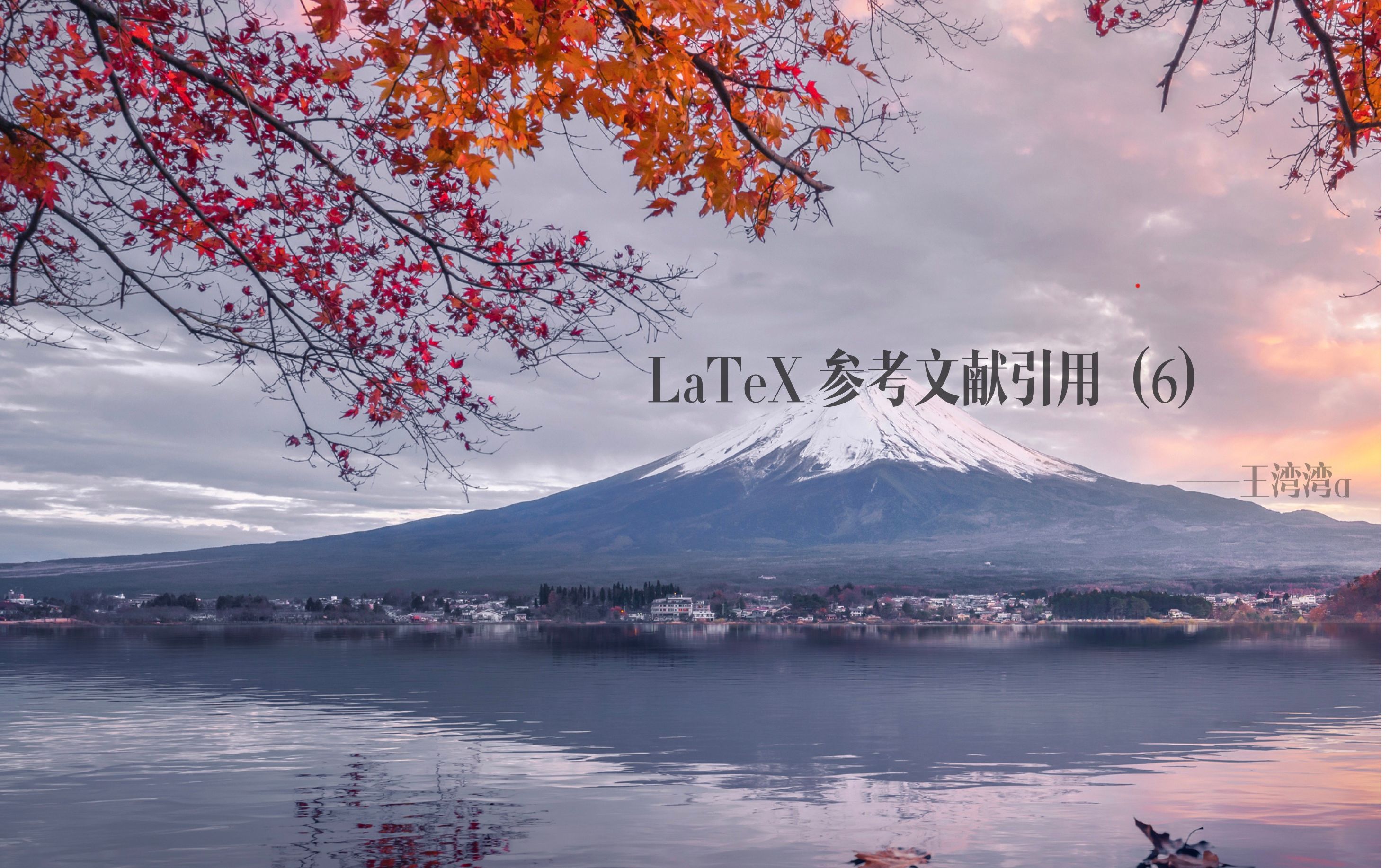 LaTeX 参考文献引用速成简化版(6)