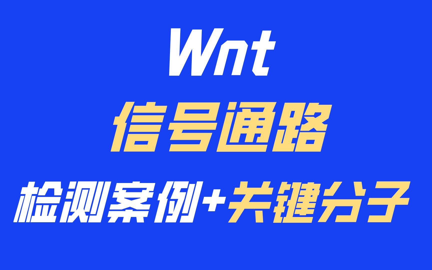 Wnt信号通路全貌,检测案例,钙离子通路