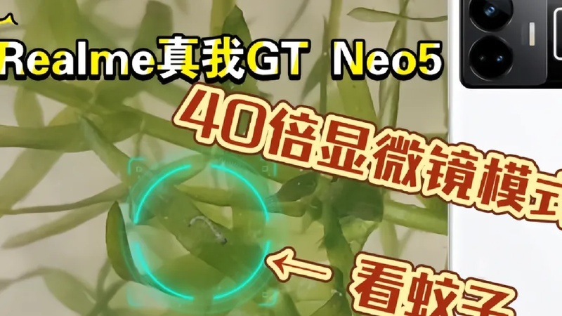 用Realme真我GT Neo5 显微镜模式放大40倍看蚊子的幼虫