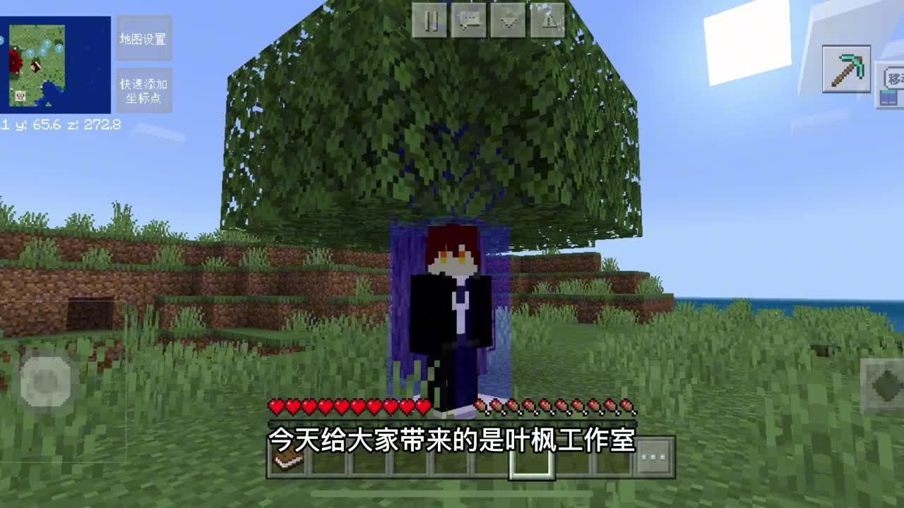 封闭世界生存来了我的世界叶枫版组件