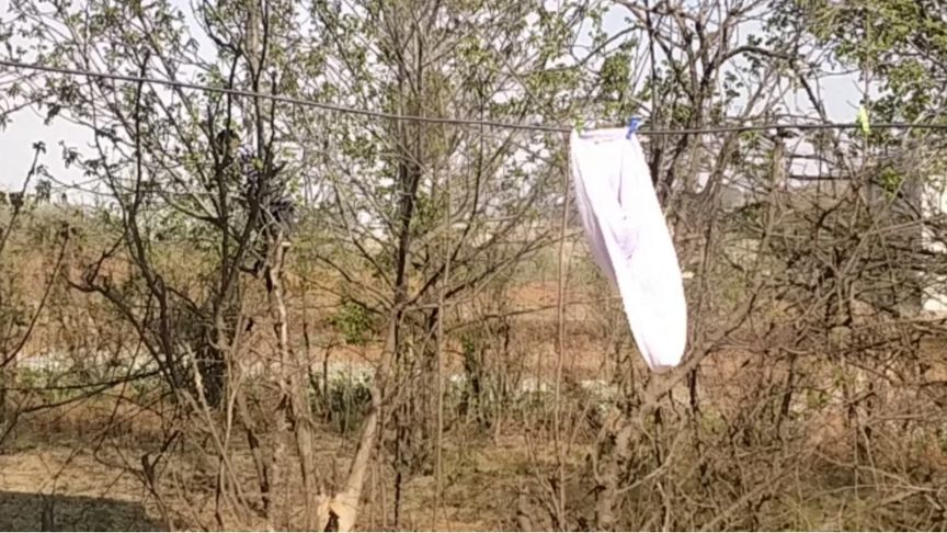 今天想弄死这个明天想弄死那个,敢问坟里的人有几个是你弄死的