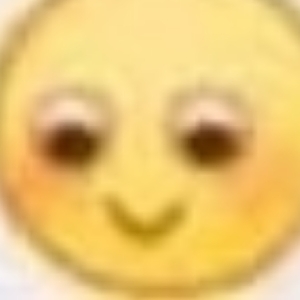 只想捡垃圾的垃圾君 