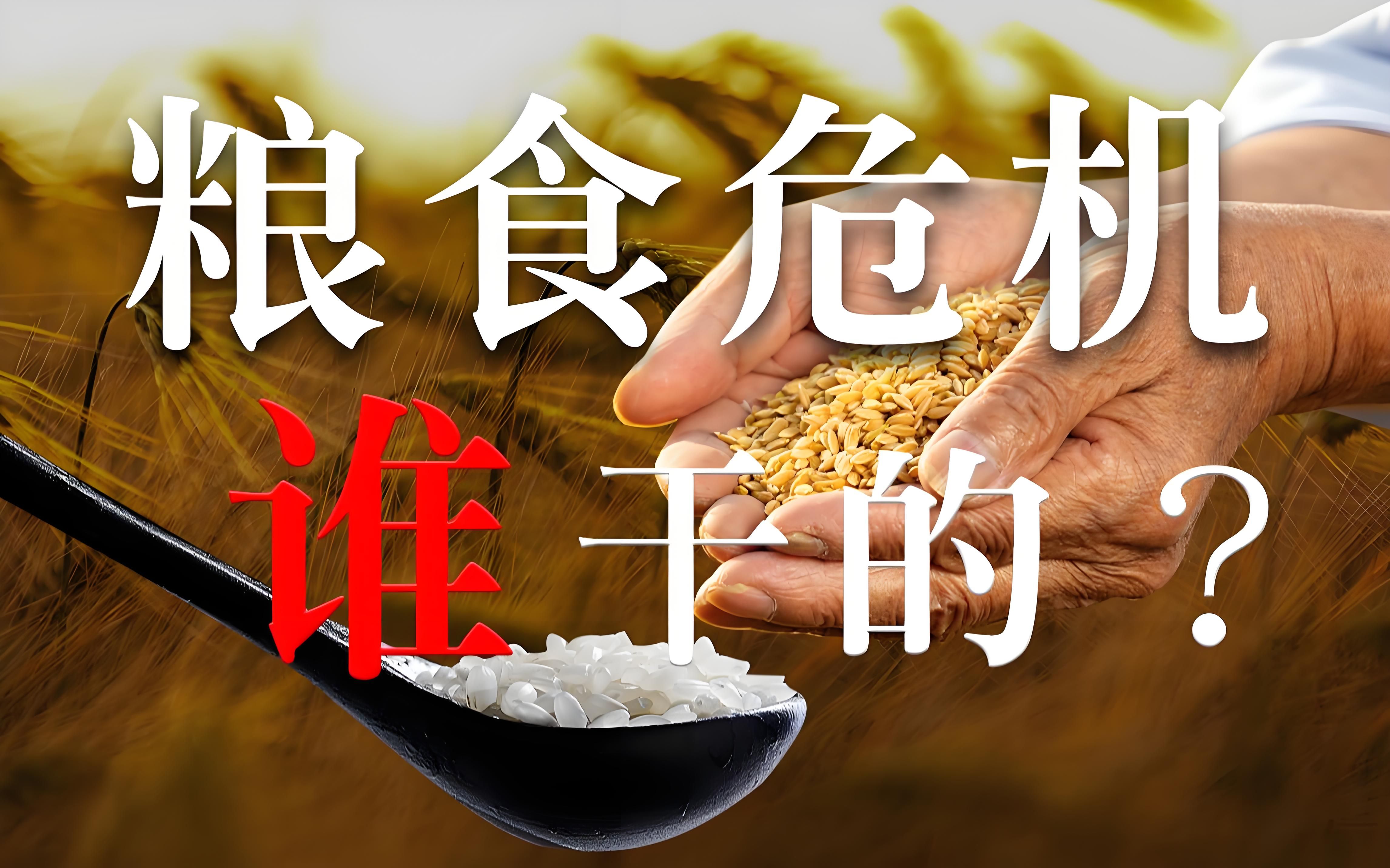 粮食危机又双叒叕来?是天灾还是人祸在捣乱?