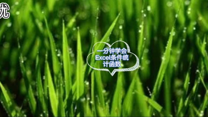 一分钟学会Excel条件统计函数