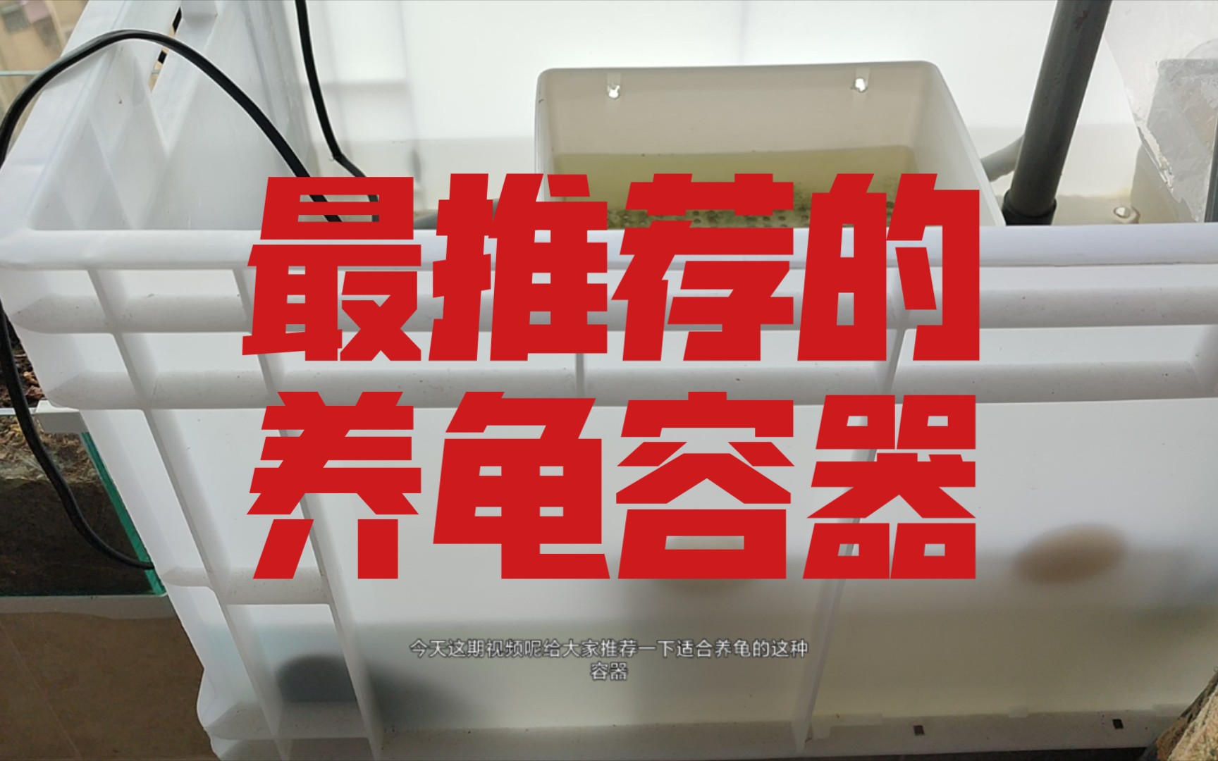 最nice的三种养龟容器。