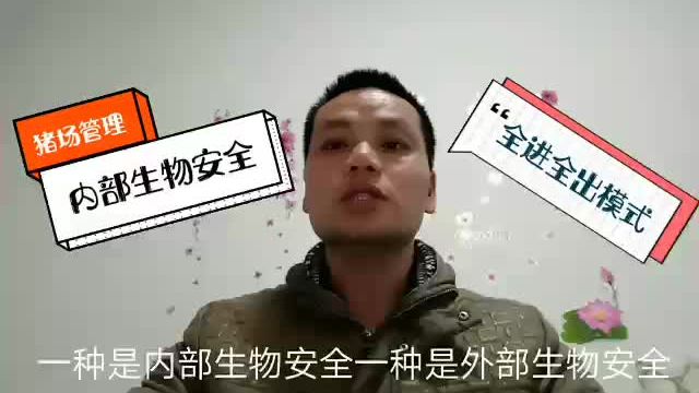 疫情到来猪场管理,内部生物安全之二,全进全出模式的分析