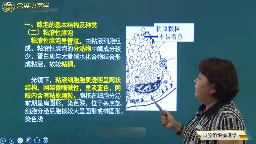 口腔医师知识考点讲解之口腔组织病理学06腺泡的基本结构及种类