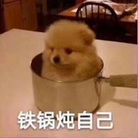 轻松悠闲梨 
