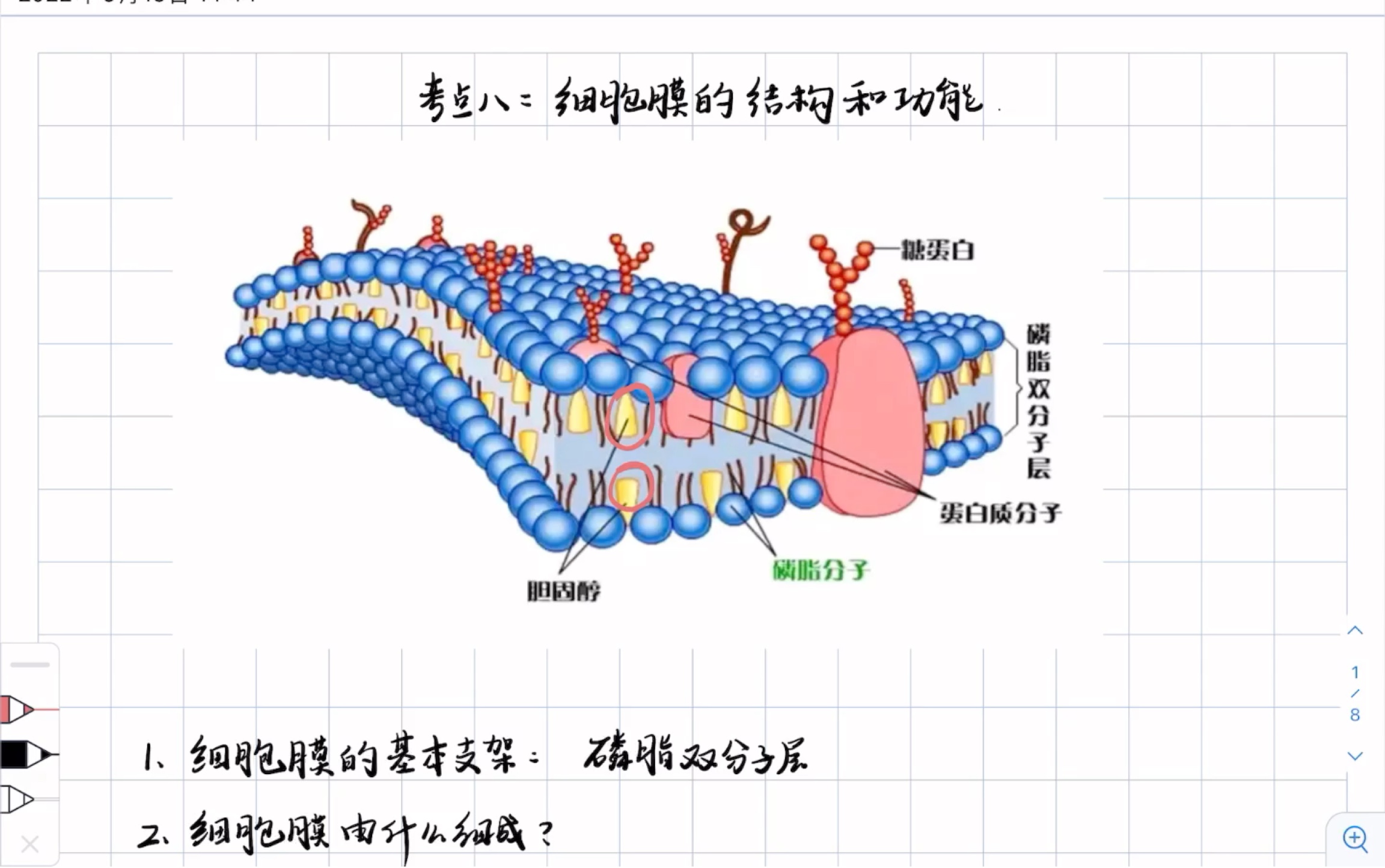 高中生物一轮复习考点八:细胞膜的结构和功能