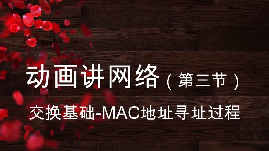 交换基础之二层MAC寻址过程介绍,动画演示交换机的基本功能