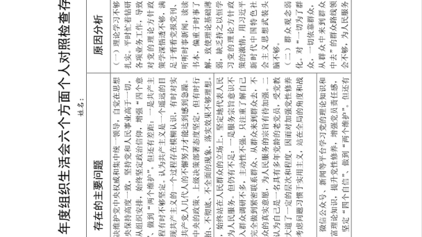 组织生活会问题整改清单