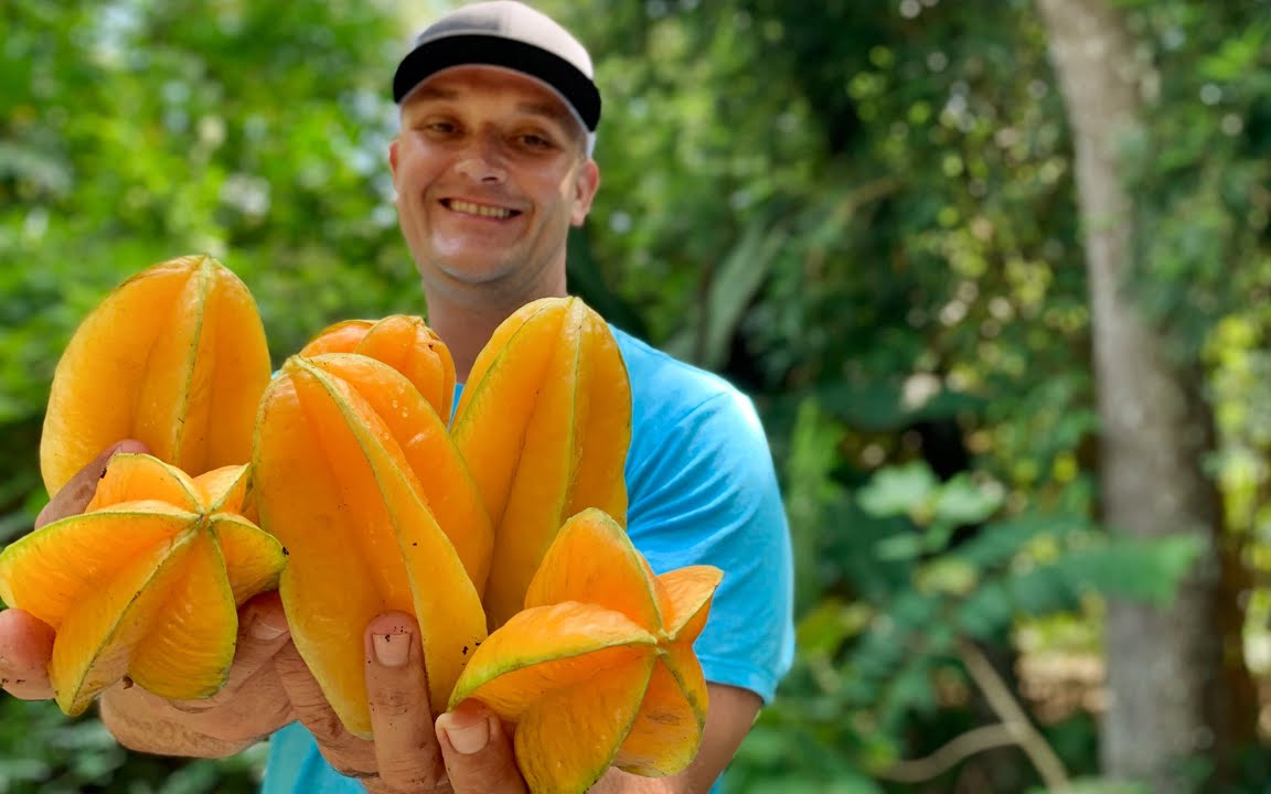 种植10种不同品种的杨桃!哪个最好吃?