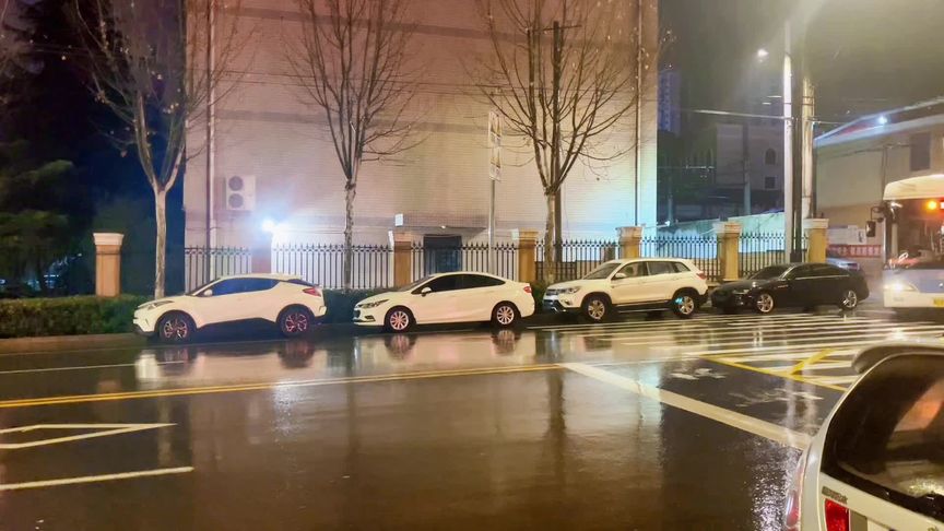 不久的将来 无轨电车将成为洛阳人永久的回忆。