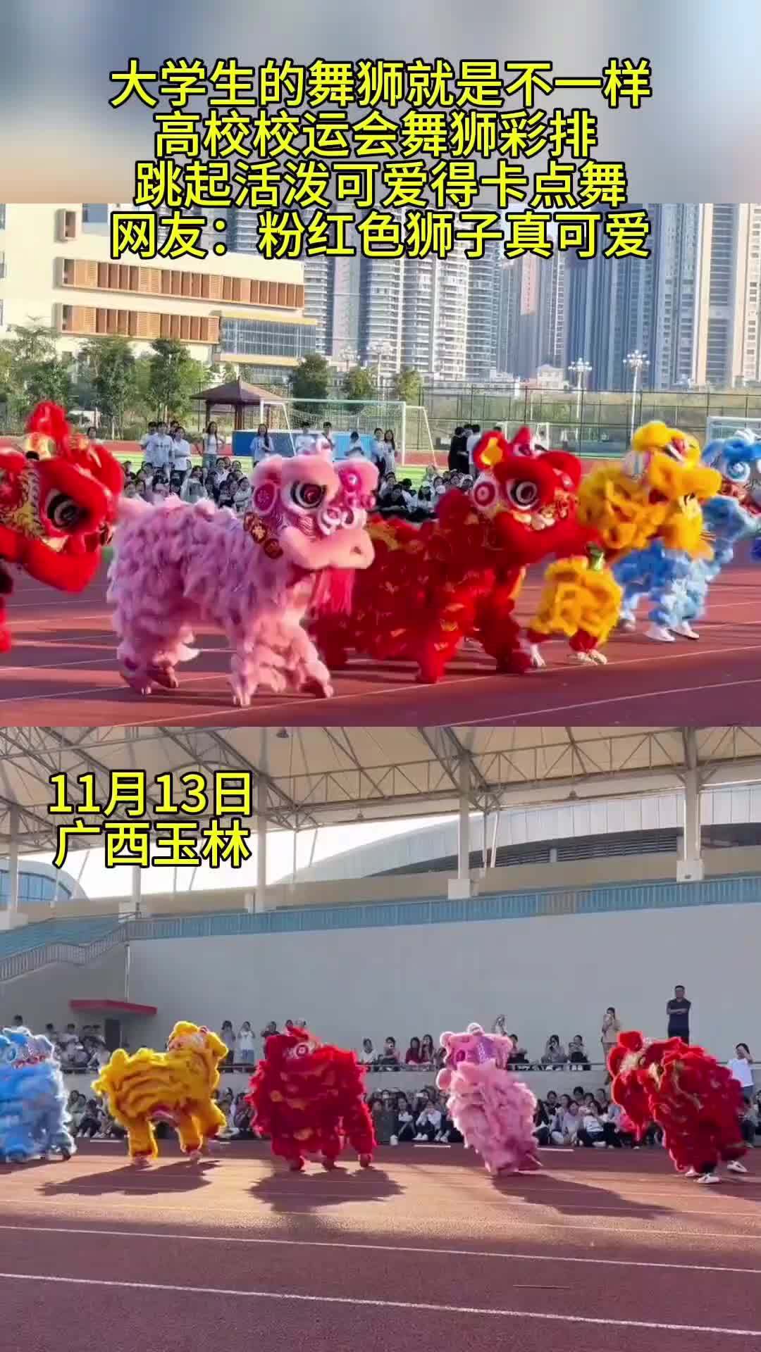 大学生的舞狮就是不一样 高校校运会舞狮彩排 跳起活泼可爱得卡