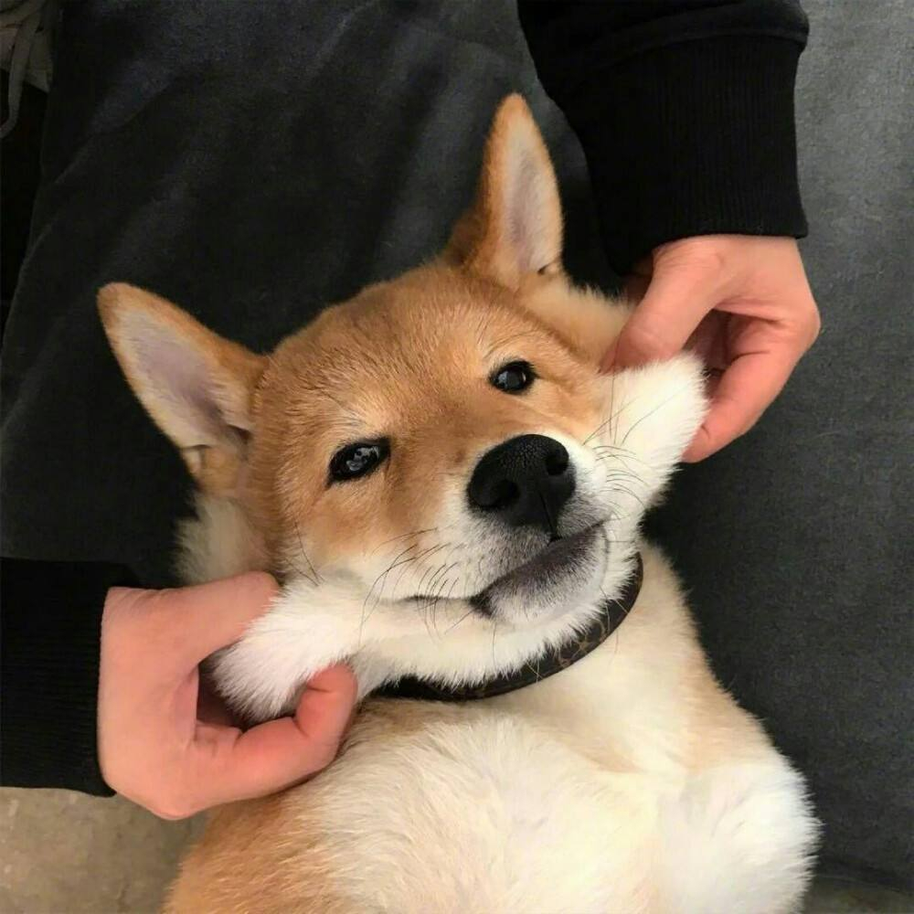 程瓶子 