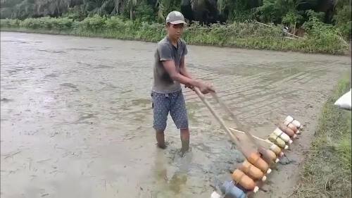 农民自制水稻播种机简单耐造效率升不是一星半点