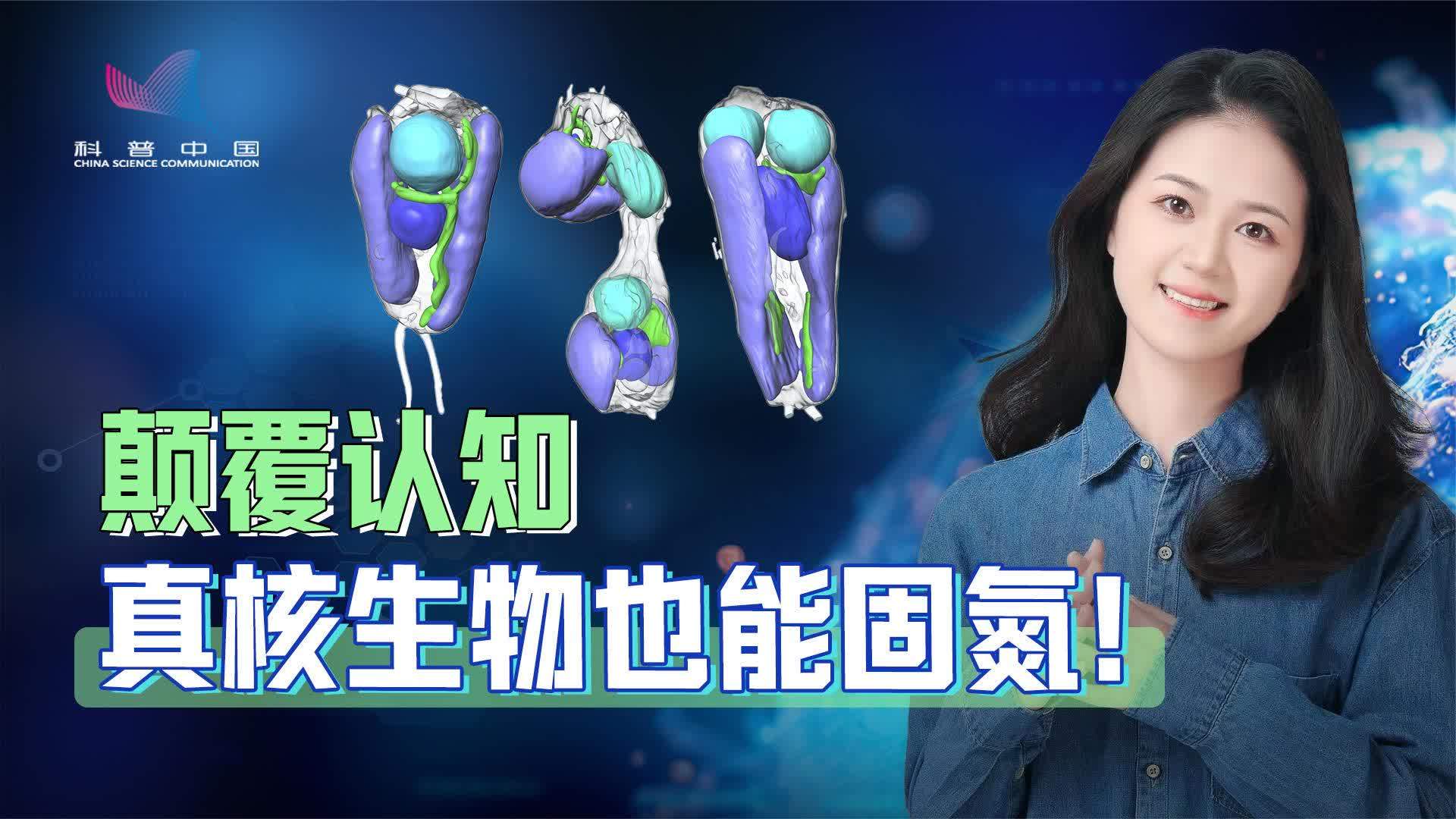 改写教科书!科学家发现首个真核固氮细胞器