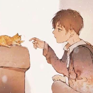 小木虫虫额 