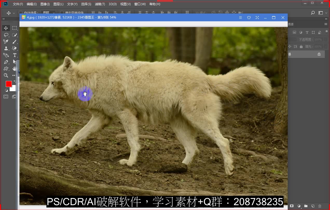 PS初学者入门教程Photoshop 合成图片技巧 海报排版技巧教学视频