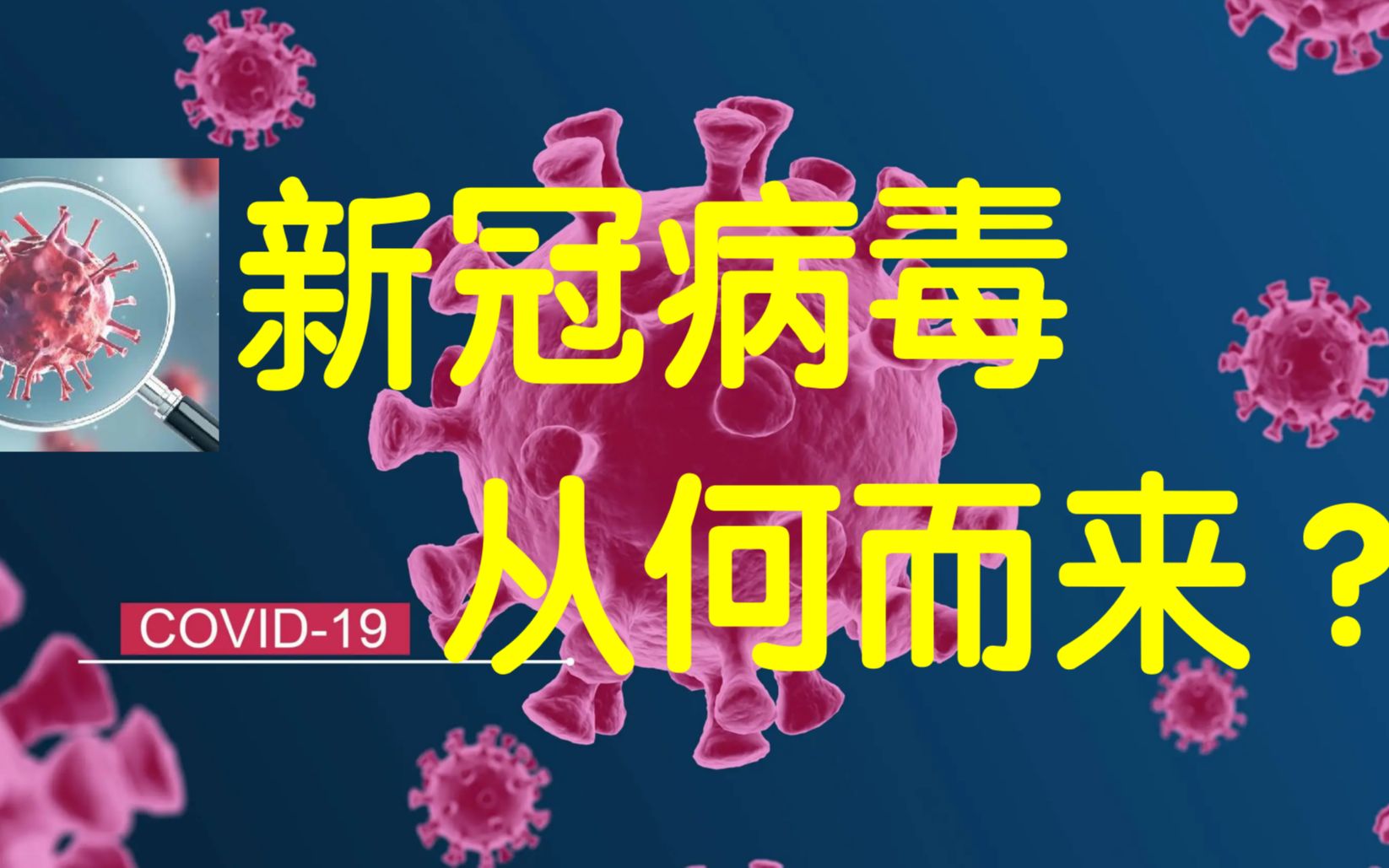 新冠病毒从何而来