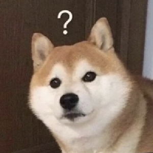 菠萝小黄 