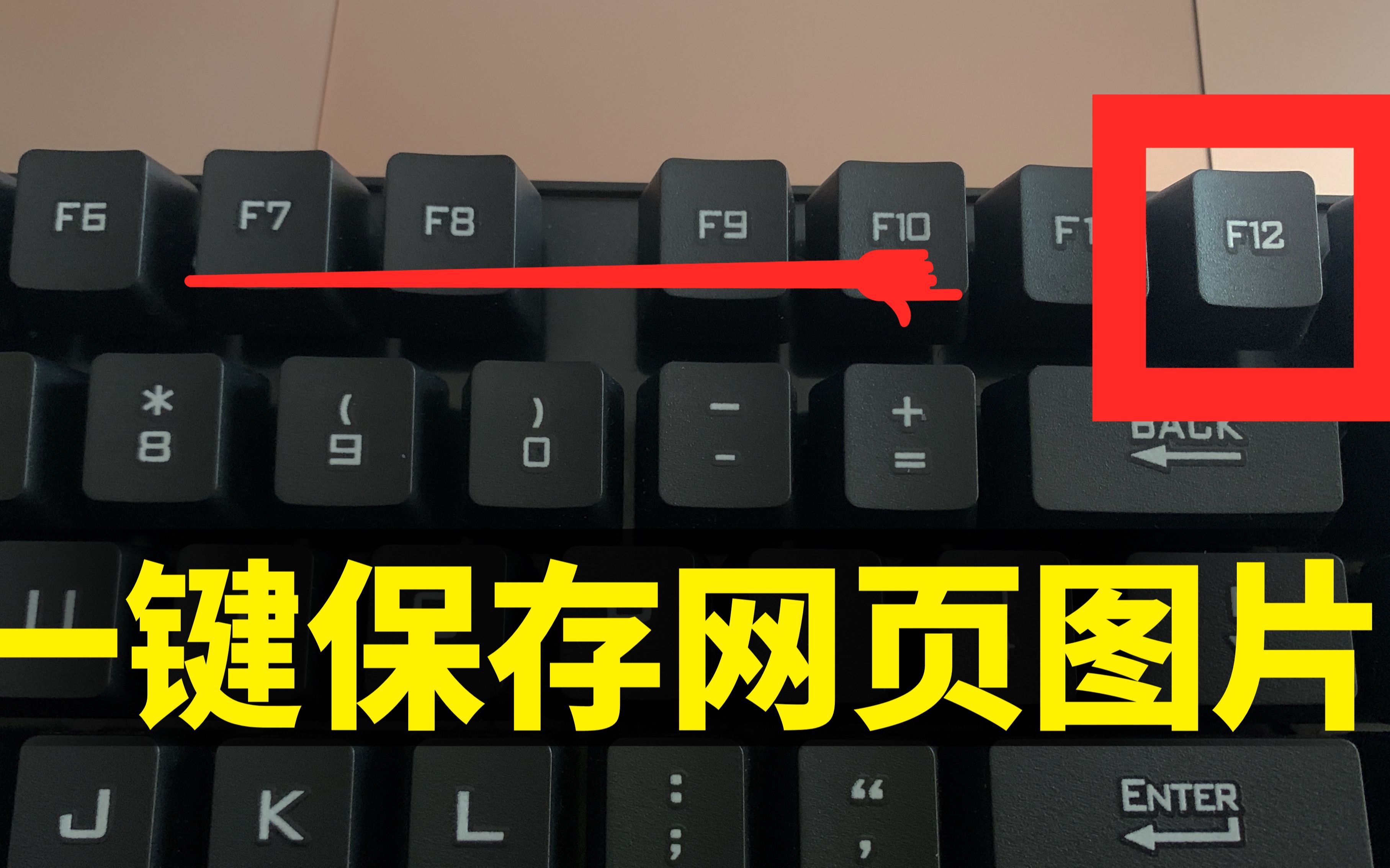 网页图片不能保存?免费教你零门槛一键保存任何网页的照片