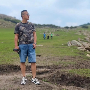 风中的千里草 