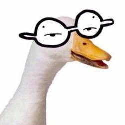 全是鹅 